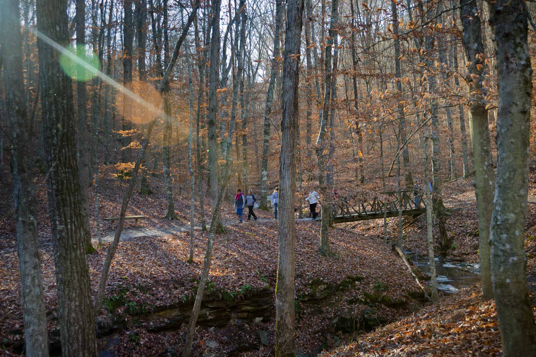 Trails - Lake Cumberland Tourism | Somerset-Pulaski County, KY